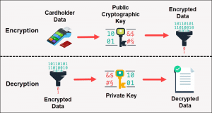 Tokenization vs. Encryption: In-Depth Comparison | CCBill KB