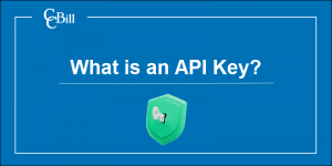 What Is an API Key? {Definition, Use Cases & Best Practices}